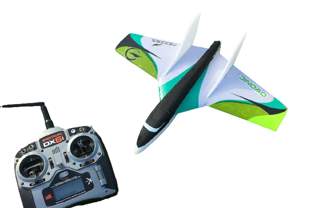 Microbirds Micro Falcon RC Elektro-Jet — FlyingMachines.de