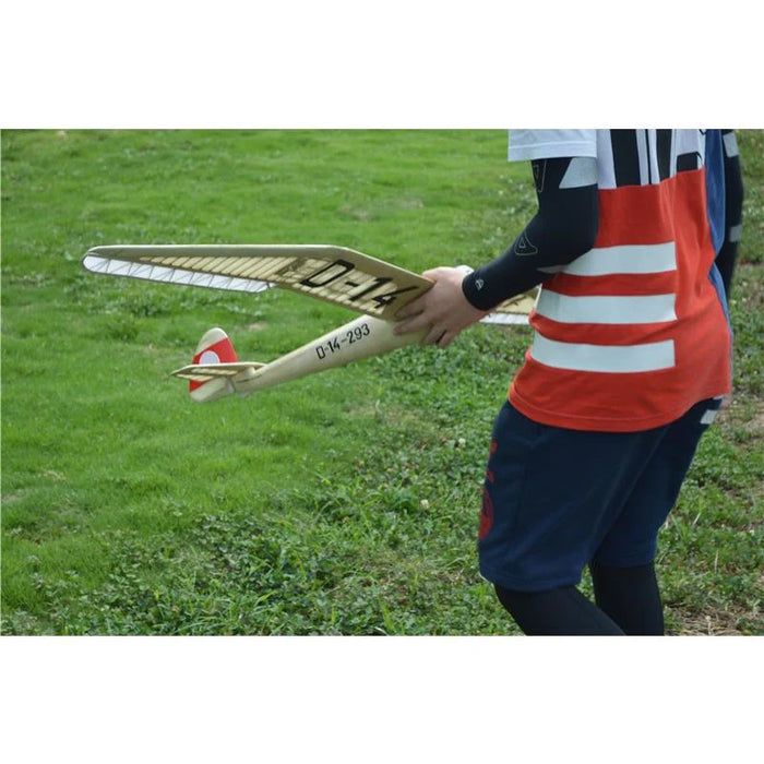 Tony Ray Minimoa Gö3 Scaleflyer 1422mm — FlyingMachines.de