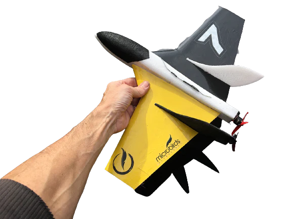 Microbirds Micro Falcon RC Elektro-Jet — FlyingMachines.de